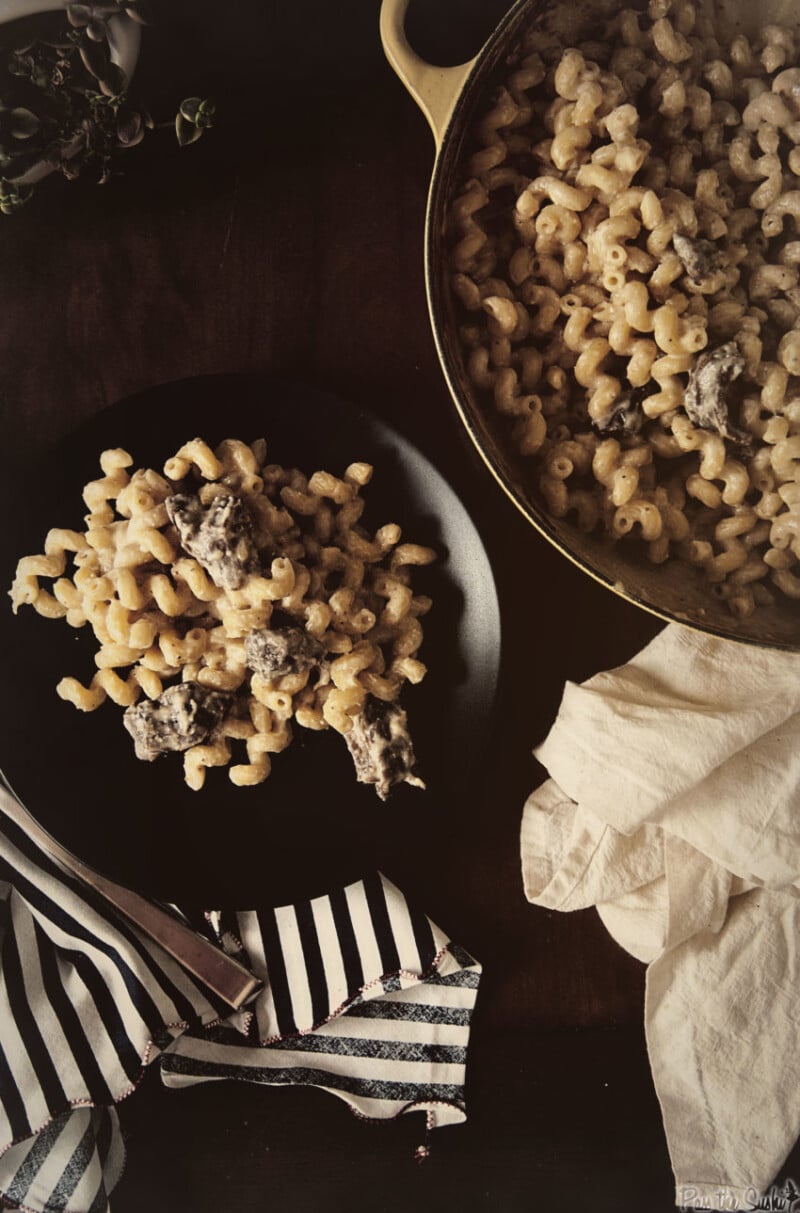 Bourbon Braised Short Ribs Mac & Cheese - Girl Carnivore