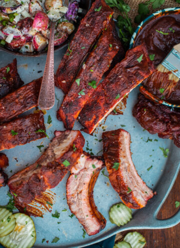 Top-Quality Grilling, BBQ, & Camping Recipes for the Home Cook | Girl ...