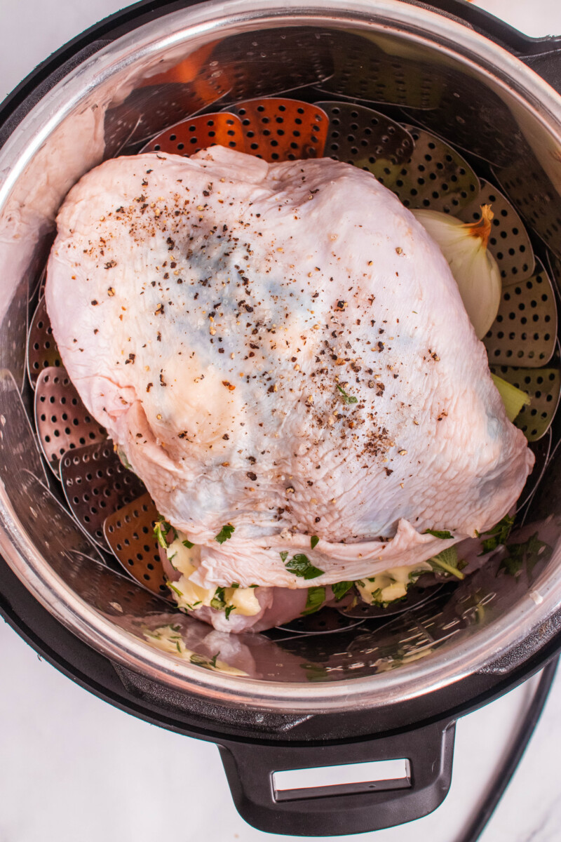 Quick Pressure Cooker Turkey Breast - Girl Carnivore