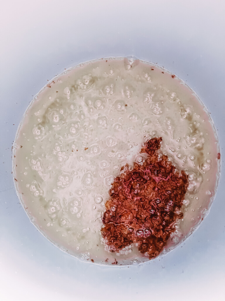 Instant Pot Beef Tallow - Girl Carnivore