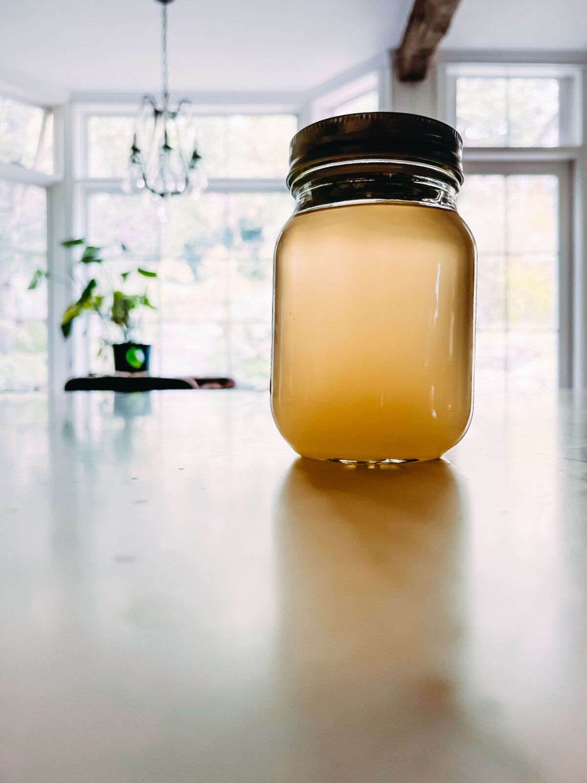 Instant Pot Beef Tallow - Girl Carnivore