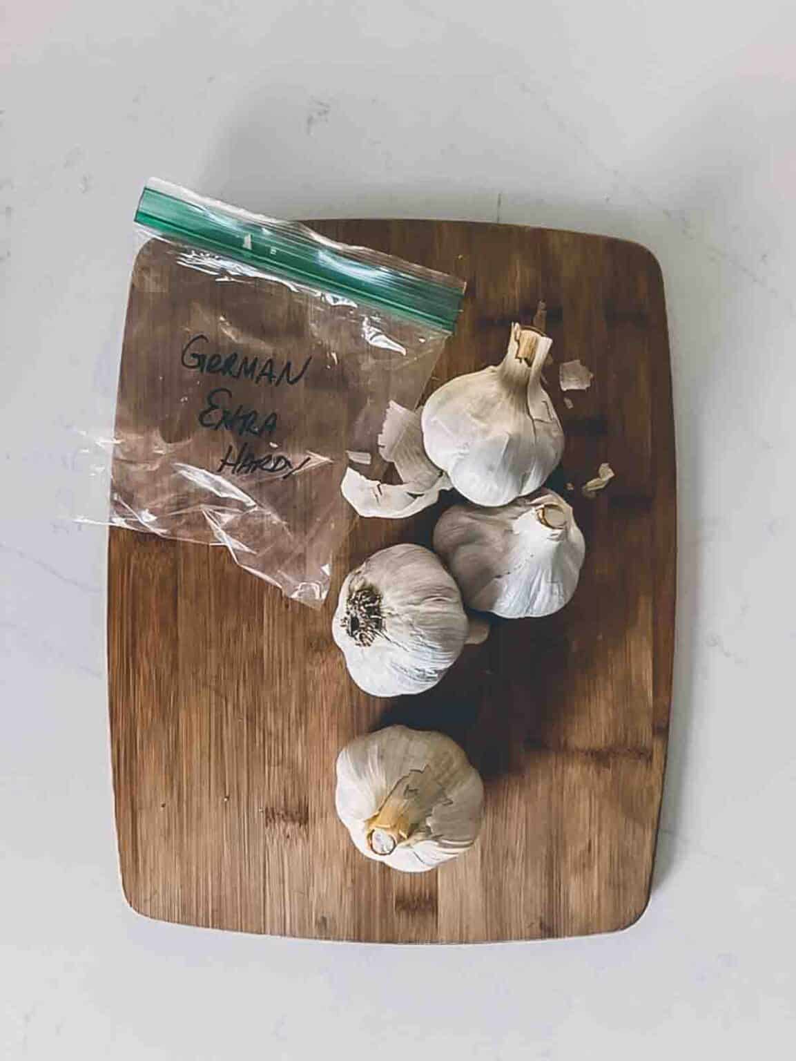 Smoked Garlic Confit - Girl Carnivore