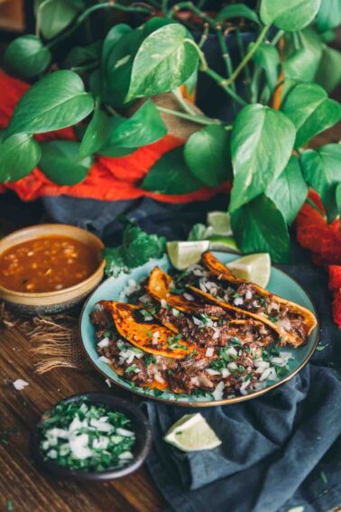 Insta Pot Birria - Girl Carnivore