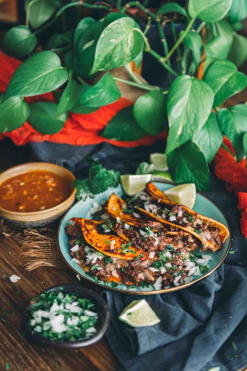 Insta Pot Birria - Girl Carnivore