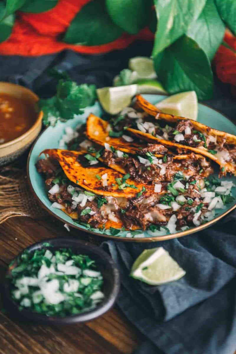 Insta Pot Birria Girl Carnivore