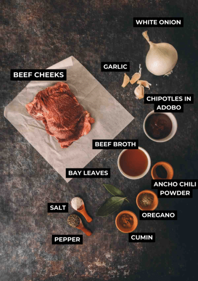Insta Pot Birria - Girl Carnivore