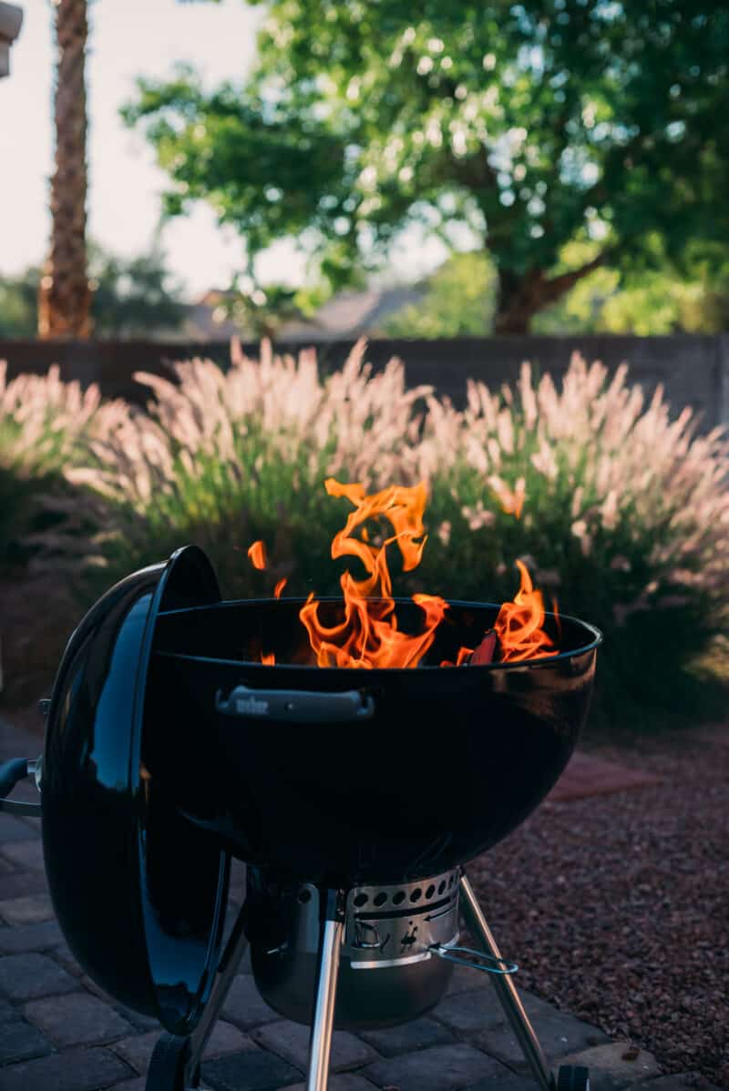 Direct Heat vs Indirect Heat: When and How to use Each - Girl Carnivore