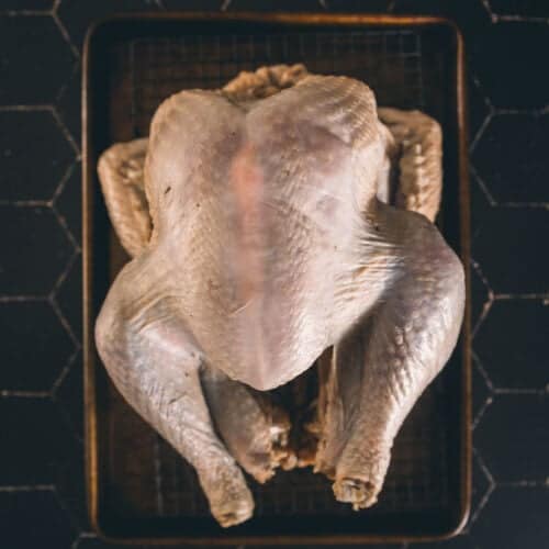 How to Thaw Frozen Turkey - Girl Carnivore