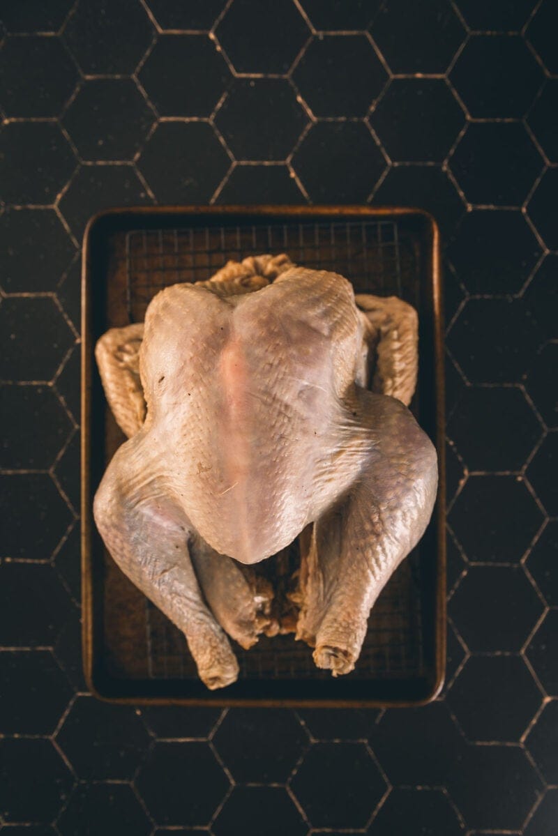 Best Turkey Recipe Ideas - Girl Carnivore
