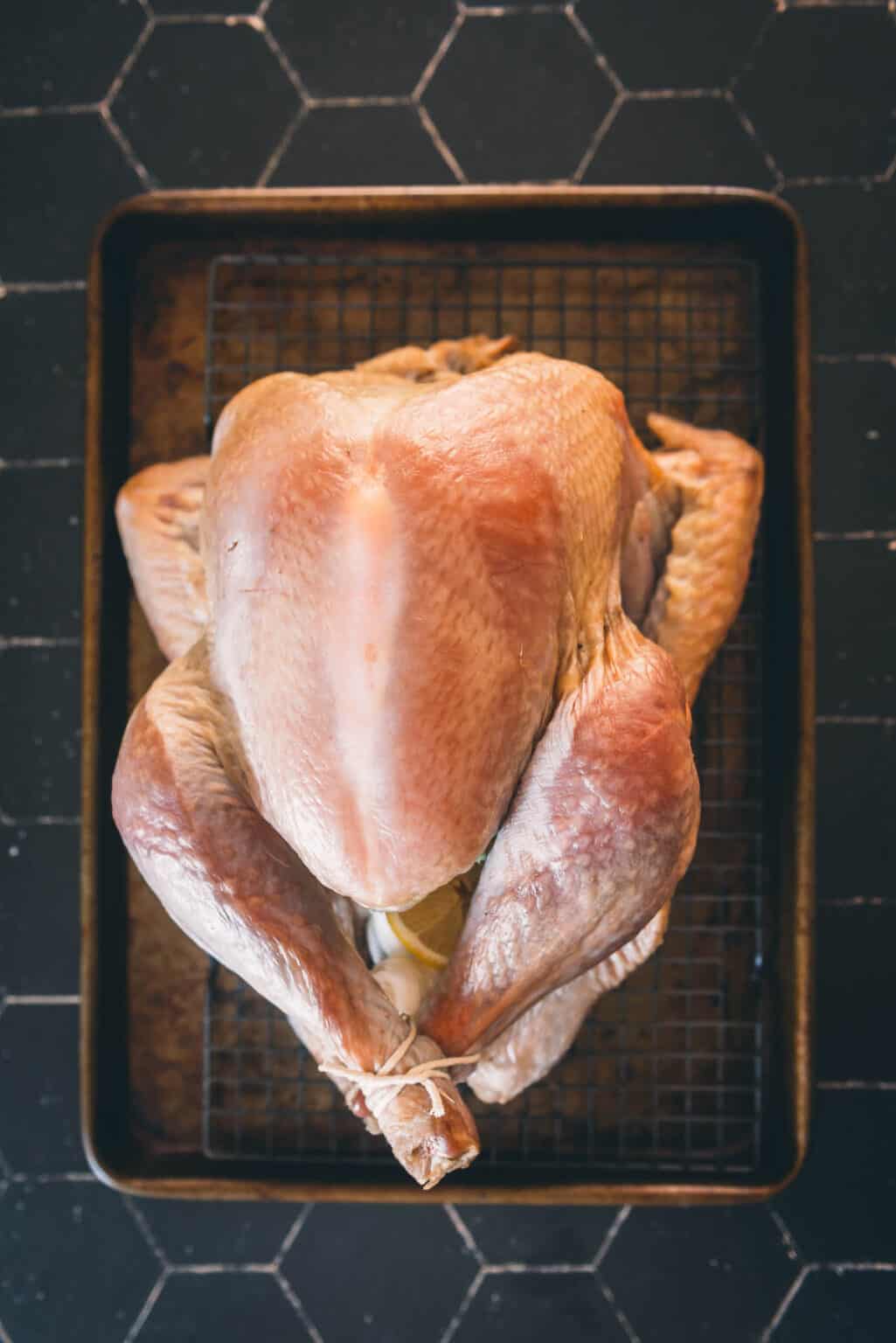 Cooking a Turkey in the Oven like a pro! - Girl Carnivore