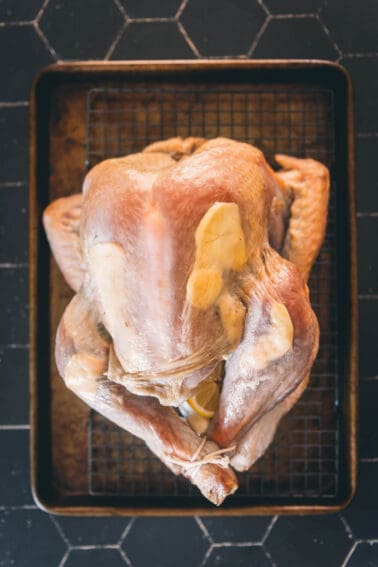 Cooking a Turkey in the Oven like a pro! - Girl Carnivore