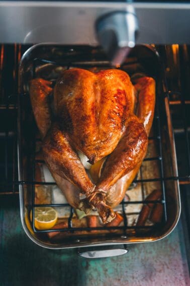 Cooking a Turkey in the Oven like a pro! - Girl Carnivore