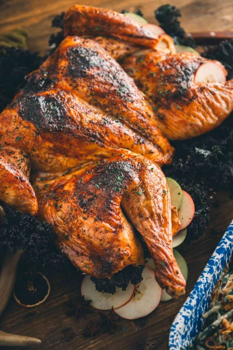 How to Thaw Frozen Turkey - Girl Carnivore