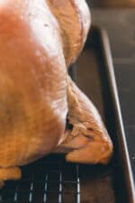 Trussing a Turkey (Tips, Troubleshooting, & Video) - Girl Carnivore