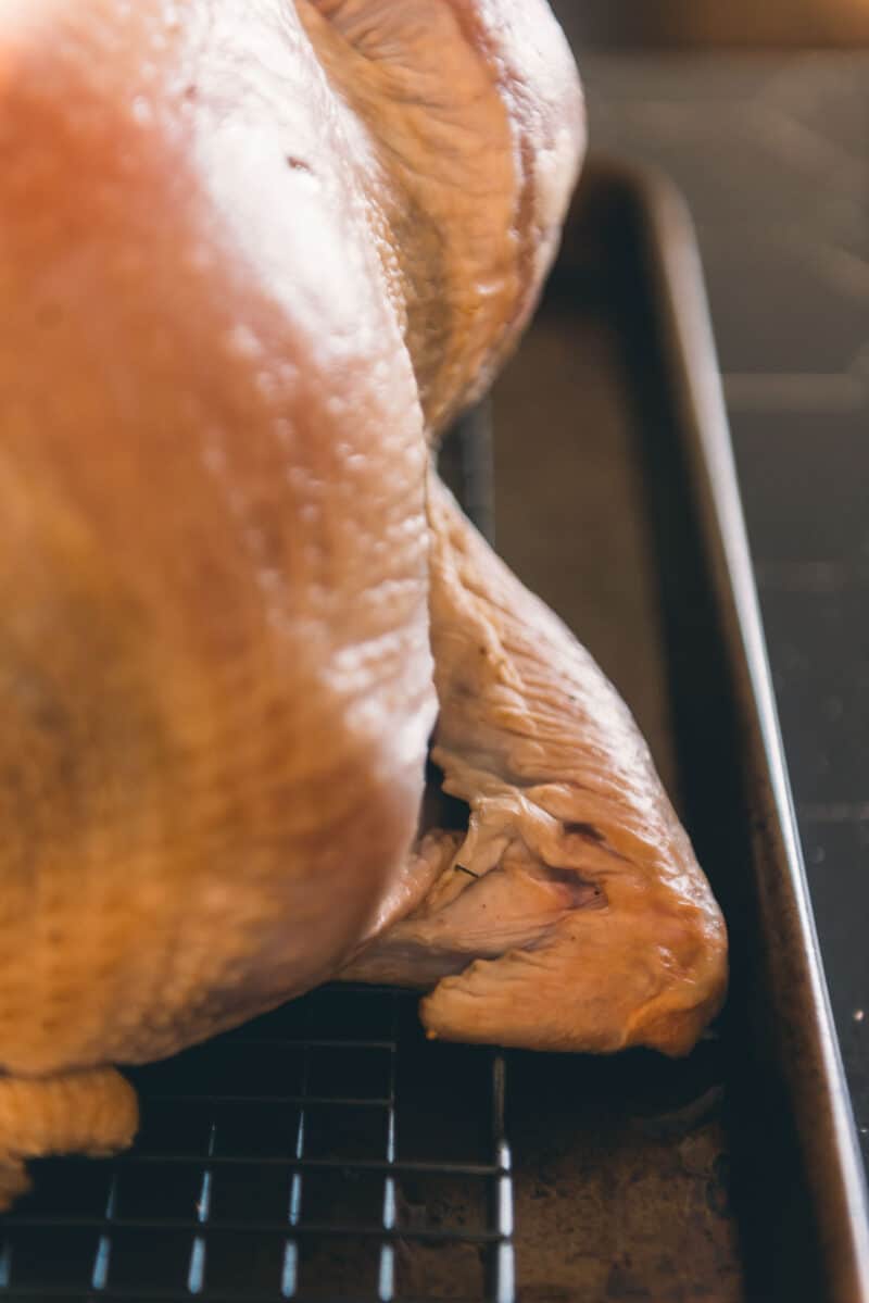 Trussing a Turkey (Tips, Troubleshooting, & Video) - Girl Carnivore