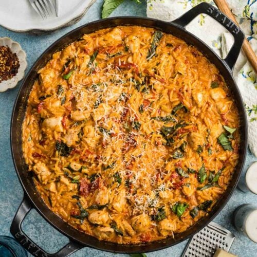 Viral Marry Me Chicken Orzo: The Perfect One Pan Recipe - Girl Carnivore